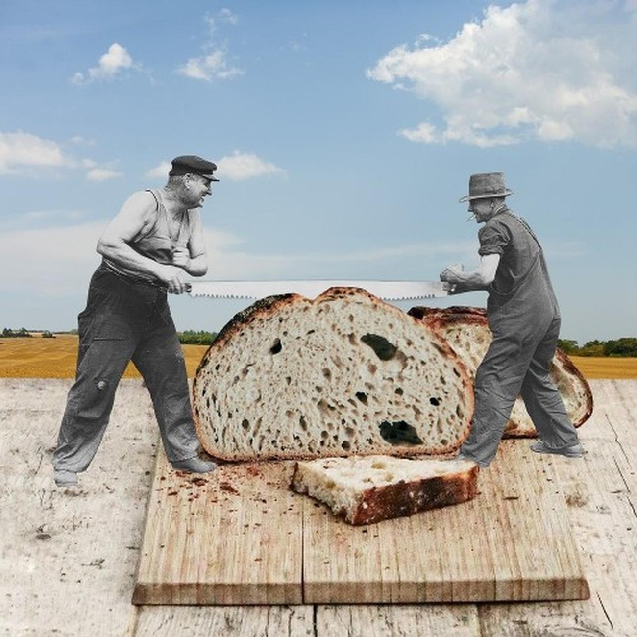 Flour Power Print by Frantic Sally