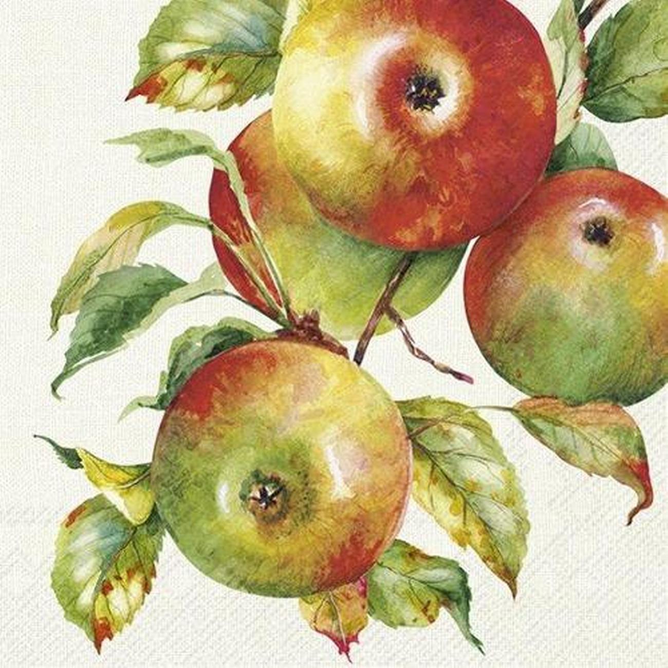 IHR Lunch Napkins Home Grown Apples Cream