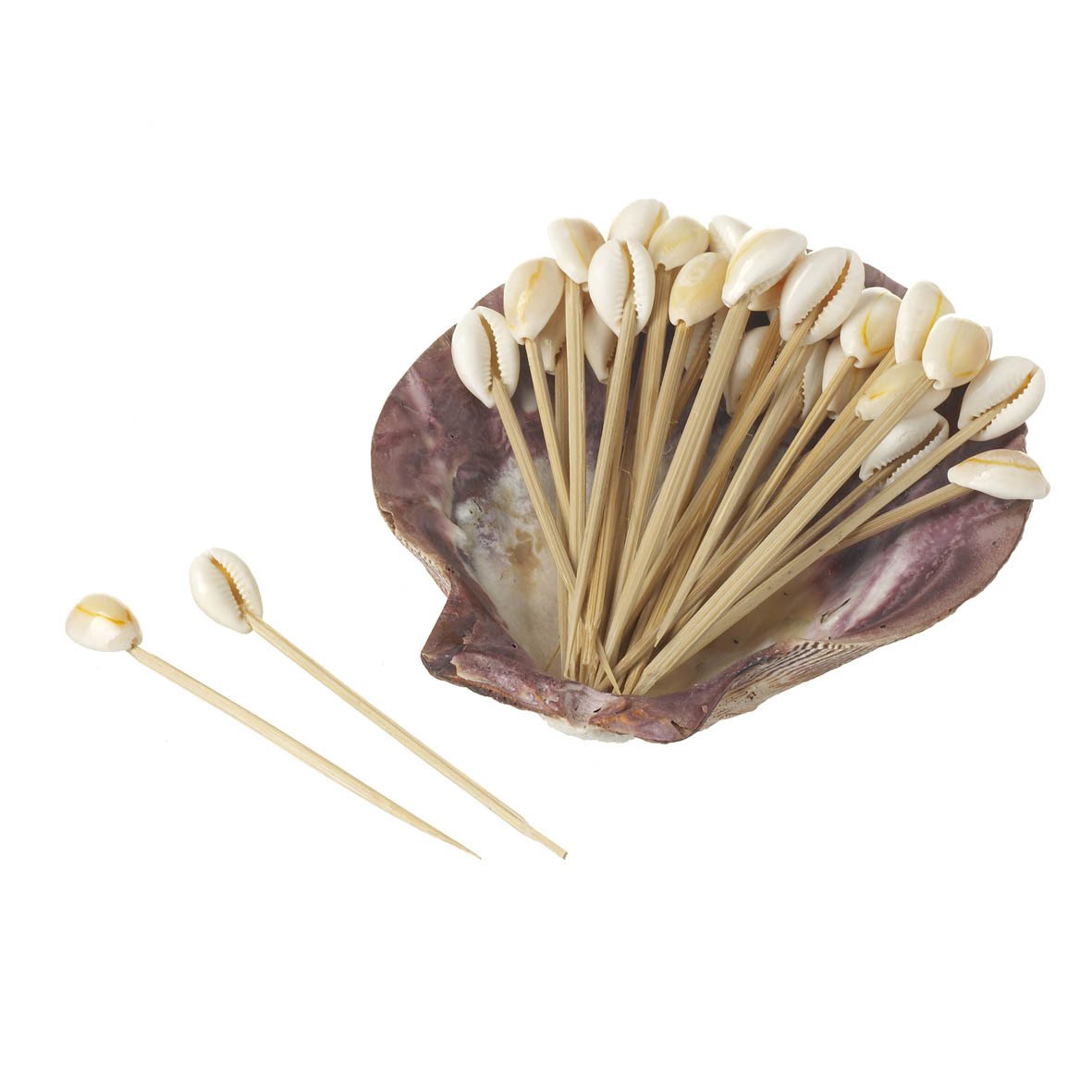Shell Cocktail Sticks 24pc