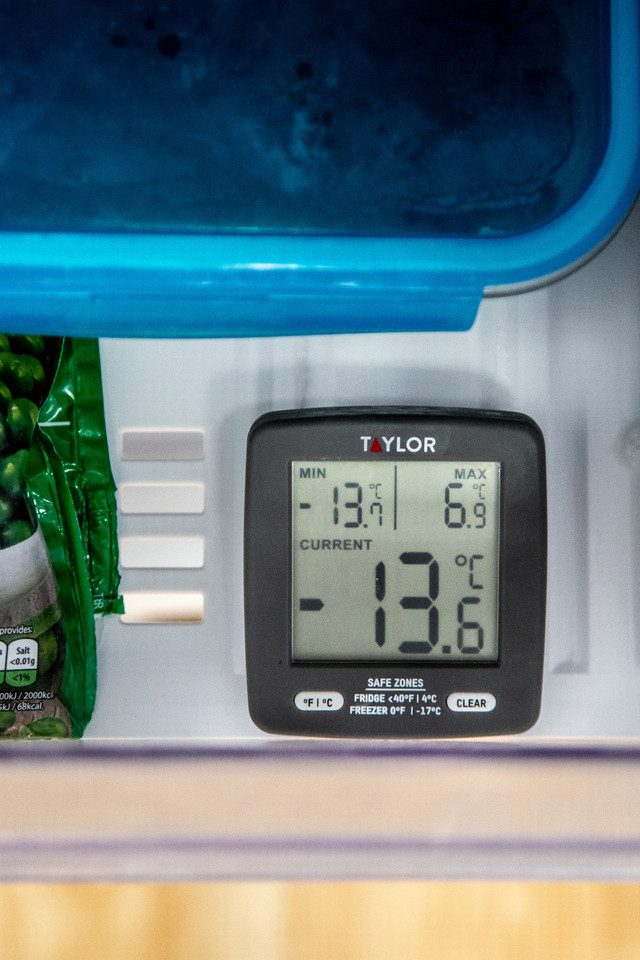 Taylor Pro Digital Fridge & Freezer Thermometer
