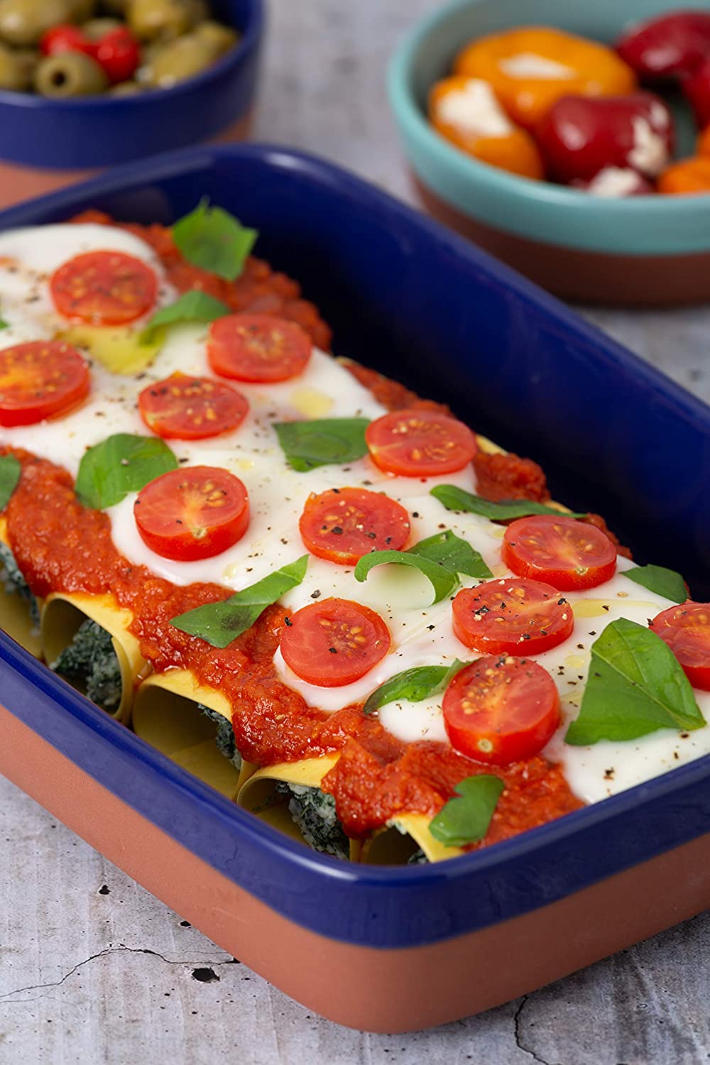 World Foods Terracotta Rectangular Dish Navy 25x17cm, Typhoon